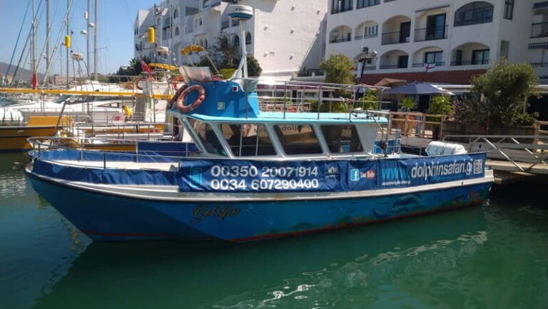 Gibraltar: Dolphin Watching Boat Tour - Authentic Experiences Based on Guest Feedback