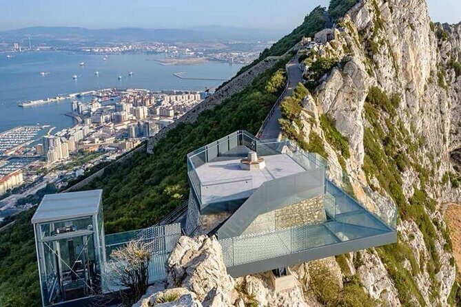 Gibraltar Inside Out Intermediate Tour 3.30hrs - The Iconic Rock of Gibraltar: Wildlife & Nature Reserves