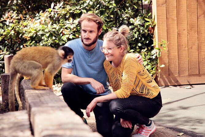 Go City London Explorer Pass: 2-7 Things To do including Shard - The Itinerary Breakdown: What You Can Expect