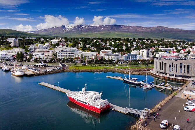 Goðafoss Waterfall & Forest Lagoon from Akureyri Port - Potential Drawbacks or Considerations