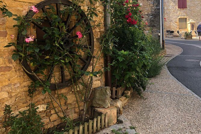 Golden stones Beaujolais Wine Tour with Tastings from Lyon - The Experience’s Strengths from Review Insights