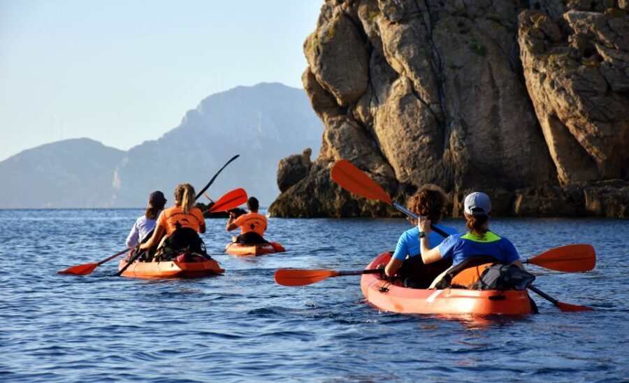 Golfo Aranci: Kayak Tour with Dolphins and Aperitif - What to Expect and Practical Tips