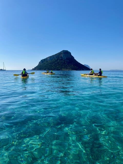 Golfo Aranci: Small group Kayak tour with Aperitif &dolphins - Authentic Reviews and Insights