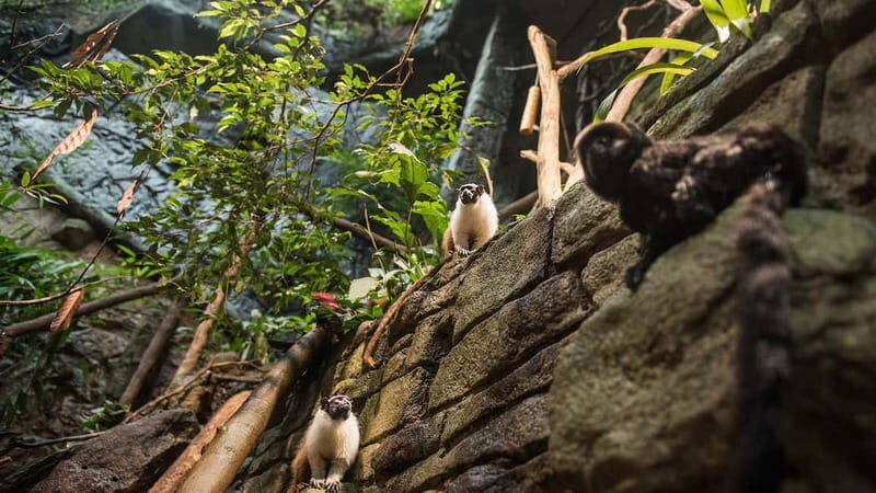 Gothenburg: Universeum Entry Ticket - A Deep Dive into Universeum