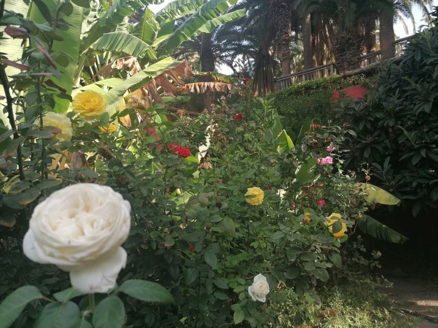 Gran Canaria: Camel Ride at Camel Safari Park - Who Should Consider This Experience?