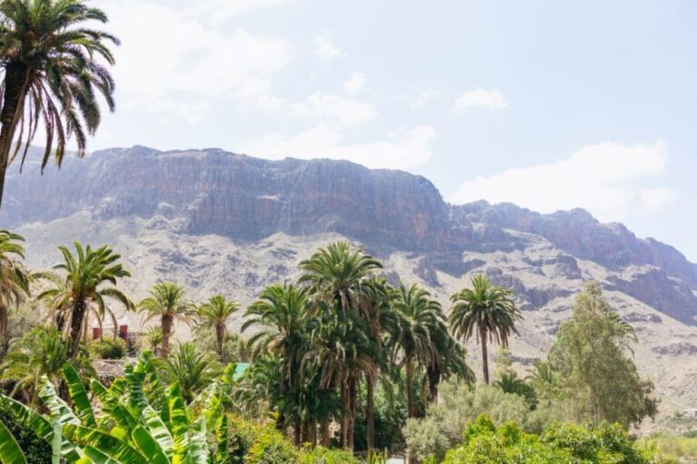 Gran Canaria: Camel Ride Safari w/ Optional Food & Transport - The Itinerary Breakdown