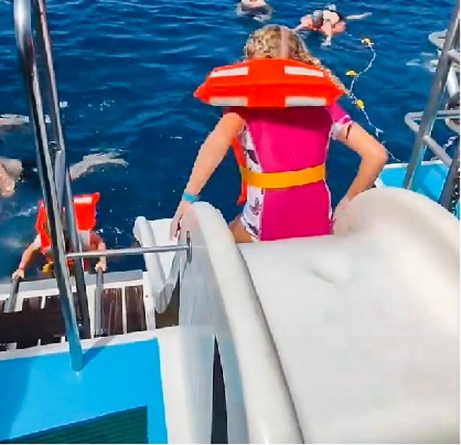 Gran Canaria: Catamaran Dolphin Watch Cruise with Snorkeling - The Itinerary Breakdown