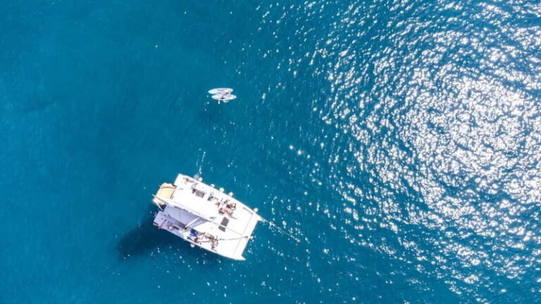 Gran Canaria: Catamaran Tour with Lunch on Pristine Beaches - What Travelers Love and What to Keep in Mind