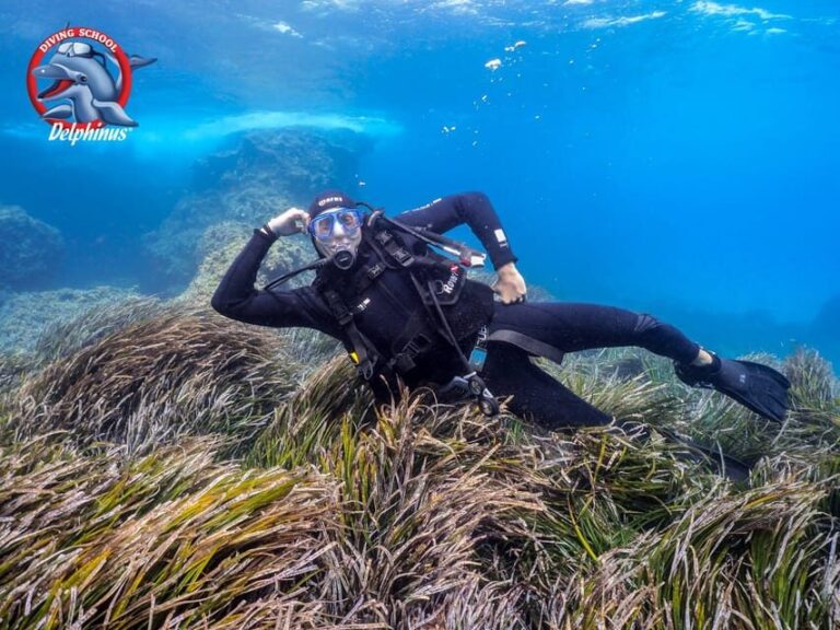 Gran Canaria: Discover Scuba Diving Beginner Program - Who Should Consider This Experience?