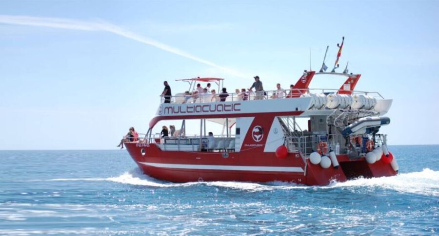 Gran Canaria: Dolphin and Whale Watching Cruise - What Makes This Tour Stand Out?
