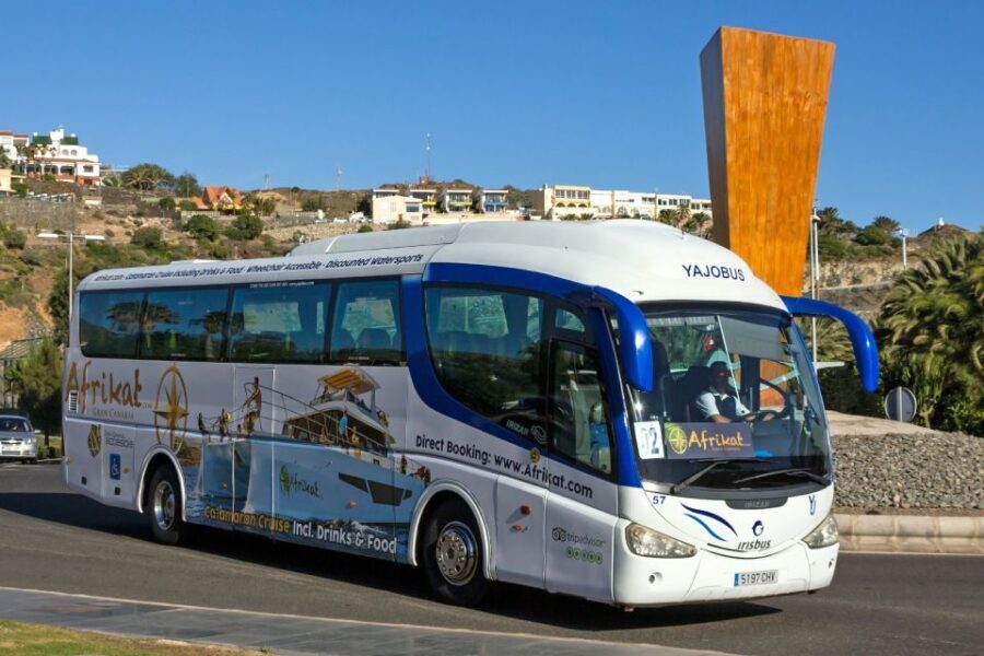 Gran Canaria: Fun Catamaran Cruise with Food and Drinks - Authentic Feedback & Highlights