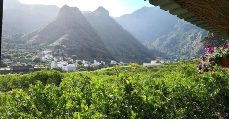 Gran Canaria: Grand Island Tour by Bus with Transfers - Transportation and Guides: What You Need to Know