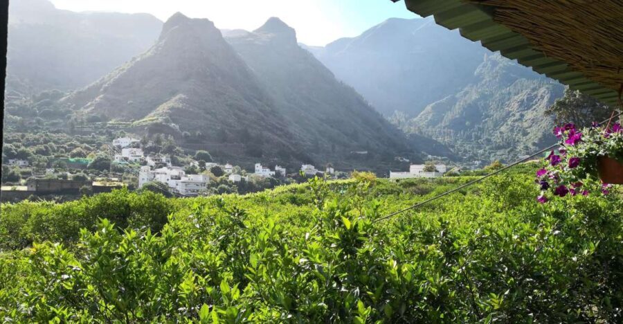 Gran Canaria: Grand Island Tour by Bus with Transfers - Transportation and Guides: What You Need to Know