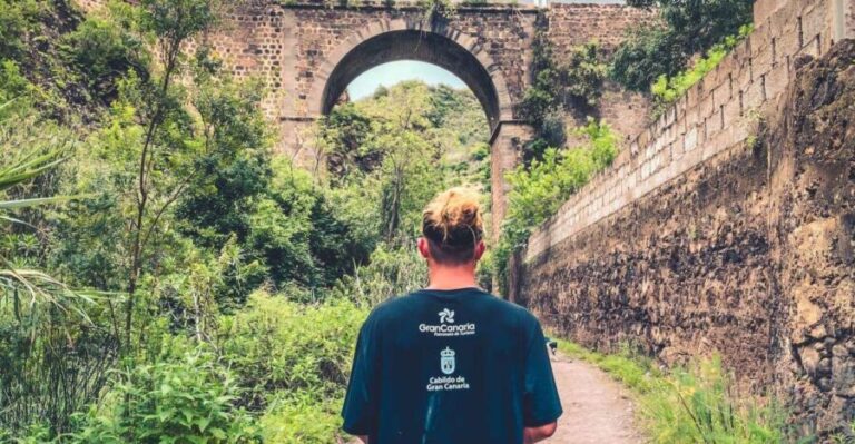 Gran Canaria: Guided Day Tour to Rainforest with Tasting - Itinerary Breakdown: From Towns to Trails