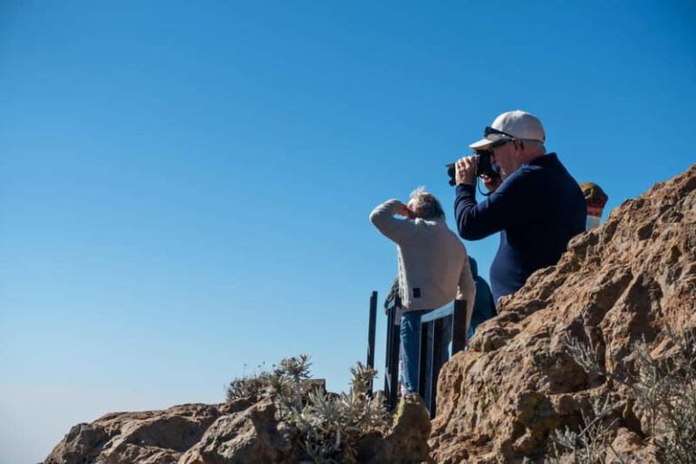 Gran Canaria: Island Highlights Tour with Optional Lunch - What the Tour Includes and Excludes