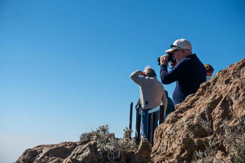 Gran Canaria: Island Highlights Tour with Optional Lunch - What the Tour Includes and Excludes