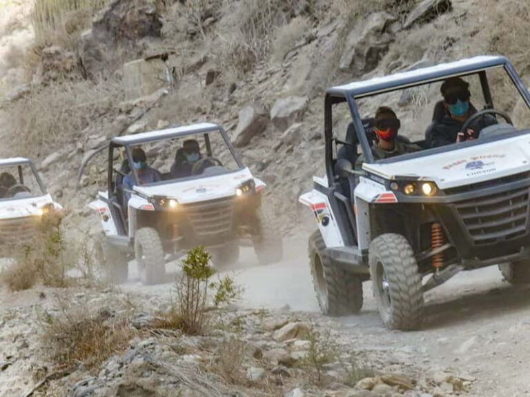 Gran Canaria: Off-Road Buggy Adventure in the Canyons - Authentic Experiences and Real Guest Insights