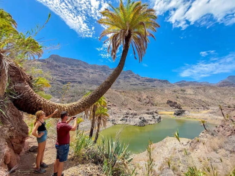 Gran Canaria: Red Gorge, Cave, Oasis Adventure Tour & Picnic - What Sets This Tour Apart?