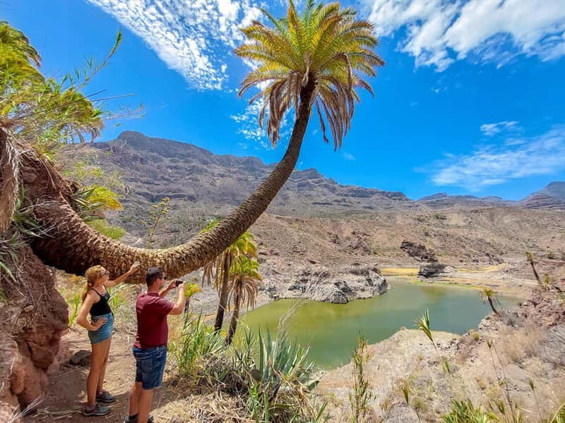 Gran Canaria: Red Gorge, Cave, Oasis Adventure Tour & Picnic - What Sets This Tour Apart?