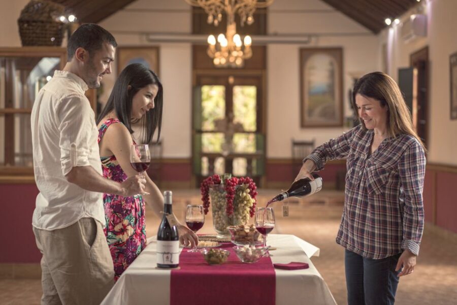 Gran Canaria: Winery Tour, Wine Museum, and Tasting - The Tasting: Flavors and Local Delights