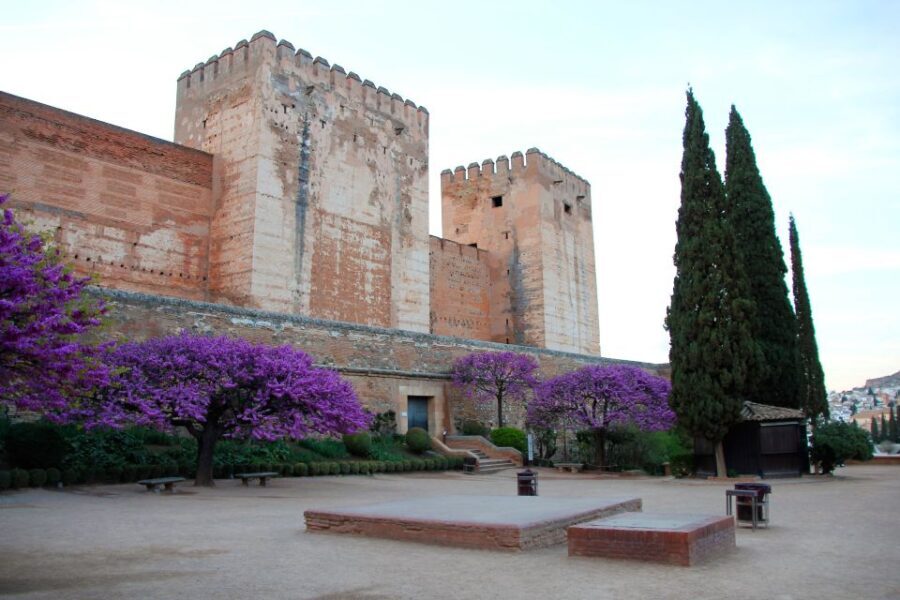 Granada: Alhambra and Charles V Palace Tour - Practical Details