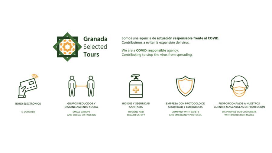 Granada: Fast-Track Alhambra & Nasrid Palaces Guided Tour - Navigating the Logistics