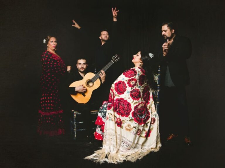 Granada: Traditional Flamenco Show at Tablao Casa Ana - The Experience Itself: What to Expect