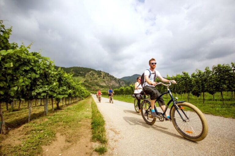 Grape Grazing: Wachau Valley Winery Biking Tour - Why This Tour Works Well