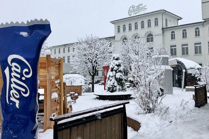 Gruyère Cheese and Chocolate Tasting Day Trip from Geneva - A Deep Dive into the Tour Experience