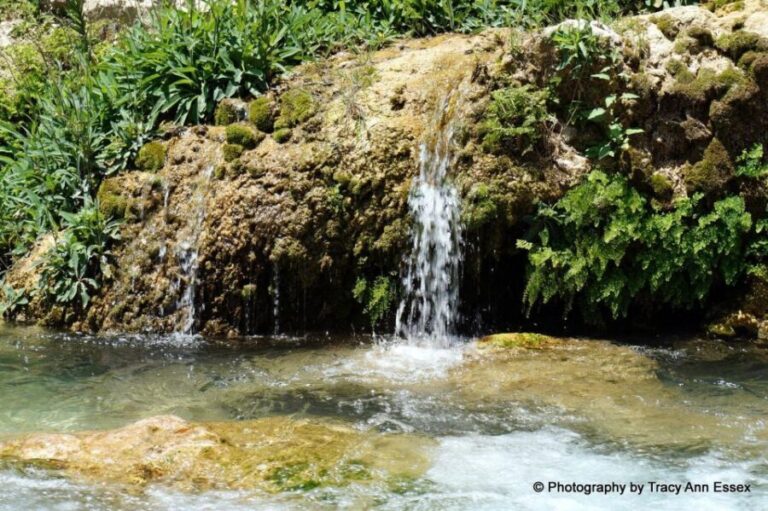 Guadalest & Algar Falls Tour - From Albir, Benidorm & Calpe - The Sum Up