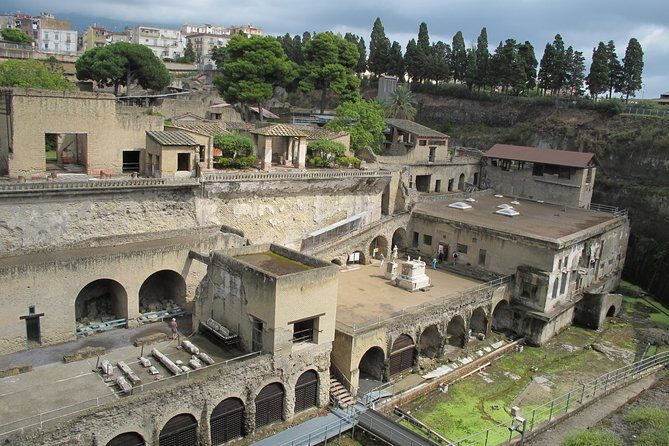 Guided Day Tour of Pompeii and Herculaneum with Light Lunch - The Food and Logistics