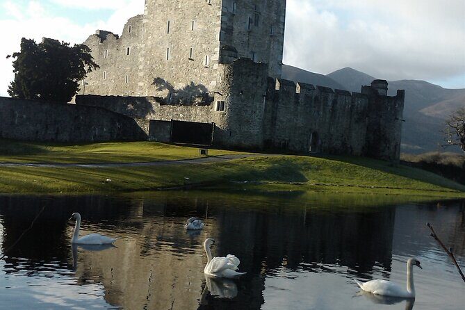 Guided Killarney National Park Walking Tour - The Experience: A detailed walk through what to expect