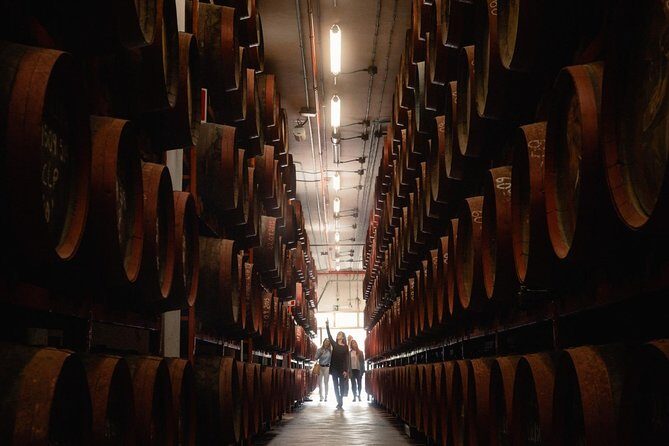 Guided Tour at Ron Arehucas Distillery - What to Expect on the Tour