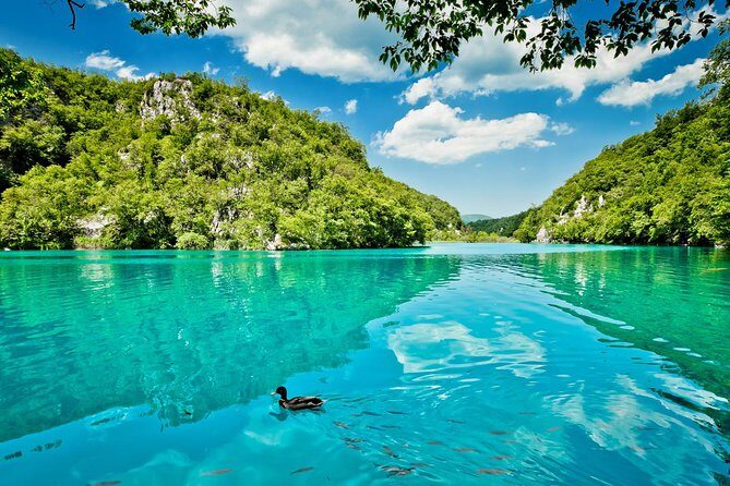 Guided transfer from Split to Zagreb with Plitvice Lakes stop - The Price and Its Implications