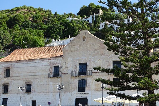 Guided Walking Tour of the Old Town of Frigiliana - Who Should Book This Tour?