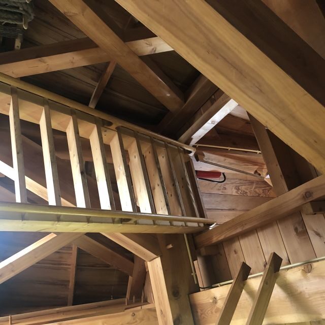 Haarlem: Windmill 'De Adriaan' Guided Tour - Authentic Experiences and Insights