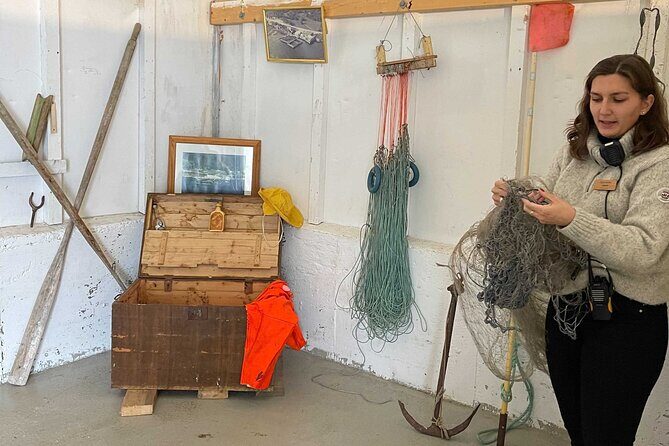 Half Day Arctic Fjord Cruise from Tromso - Value for Money