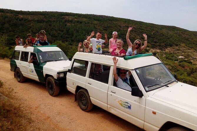 Half Day Safari Tour with Wine Tasting - Analyzing the Value for Money