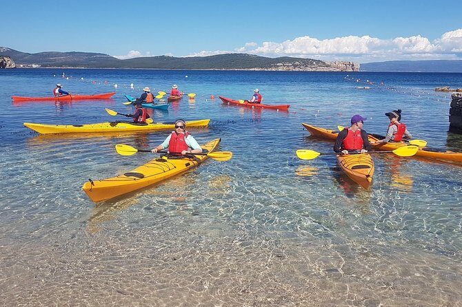 Half Day Sea Kayak Trip - What the Equipment and Amenities Mean for You