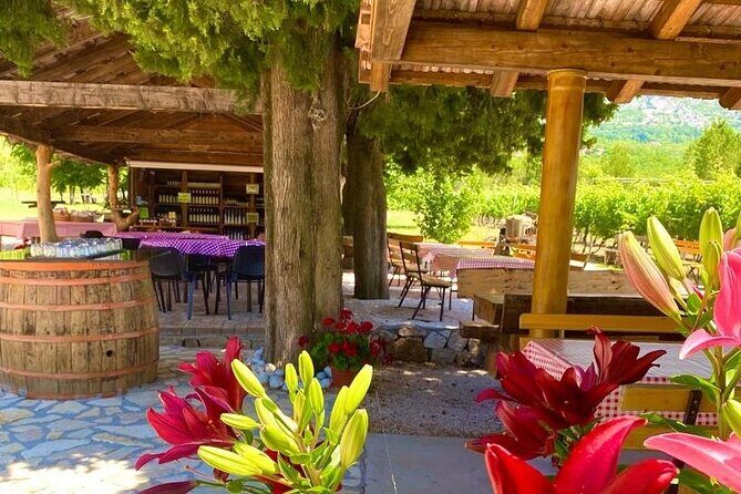 Half-Day Wine and Food Tasting from Dubrovnik - What the Reviews Say