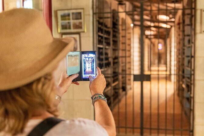 Half-Day Wine tour across Bordeauxs Vineyards - Who Will Love This Tour