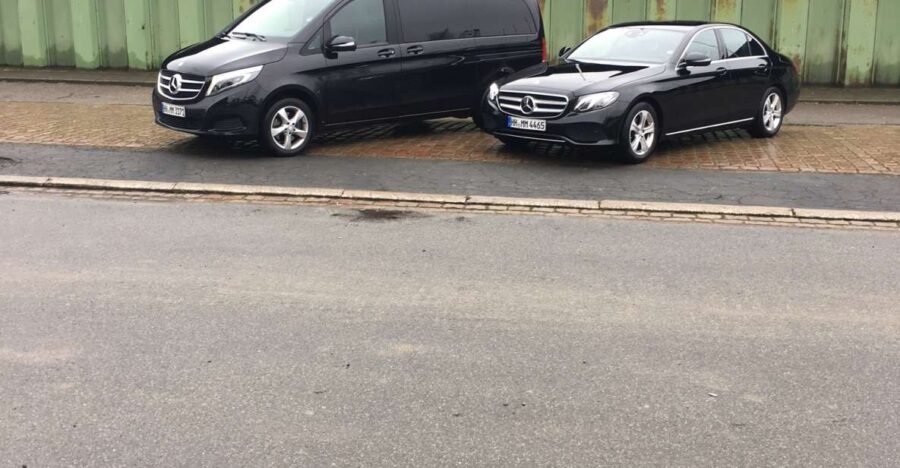 Hamburg: 3-Hour Limousine Tour with Driver-Guide - Who Will Love This Tour?