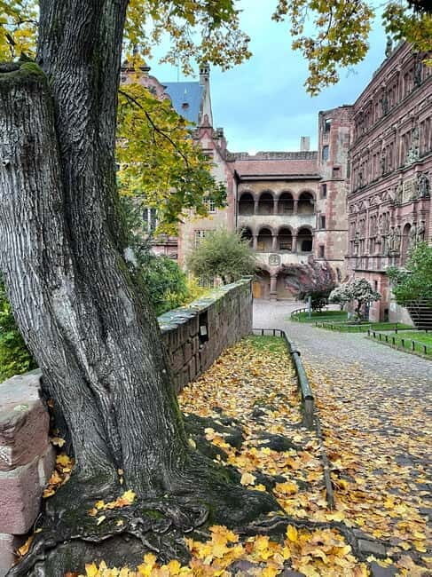 Heidelberg: Discover Heidelberg Castle  experience history up close - The Itinerary Breakdown: What You Can Expect