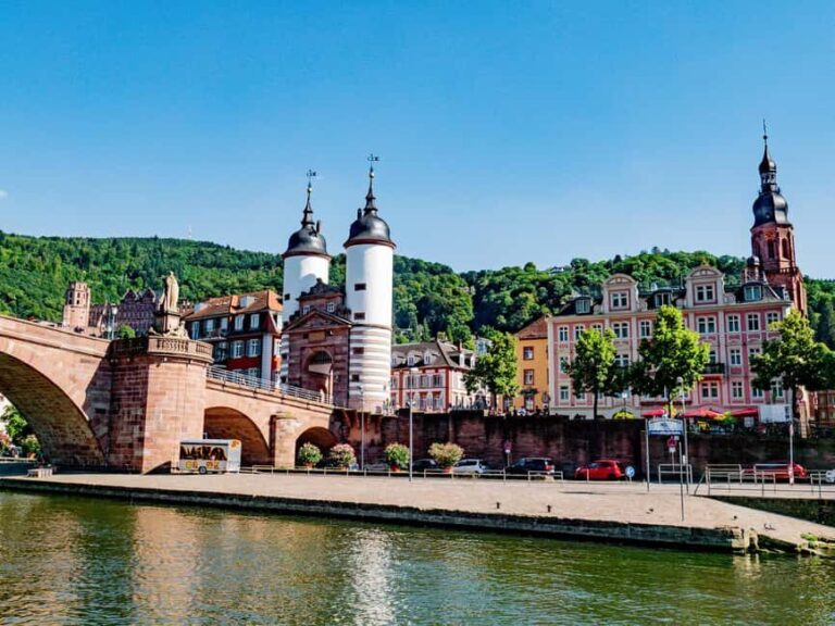 Heidelberg: Neckar River Sightseeing Boat Tour with Drink - The Real Experience - What Reviewers Say