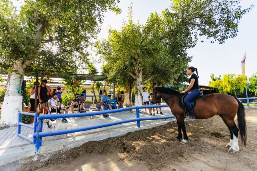 Heraklion: Horse Ride in the Cretan Mountains - Why We Think It’s Worth It