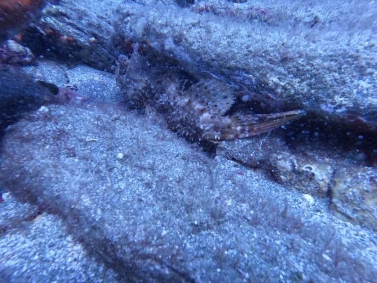 Heraklion: Scuba Diving Experience for Beginners _Beach - What’s Included and Whats Not