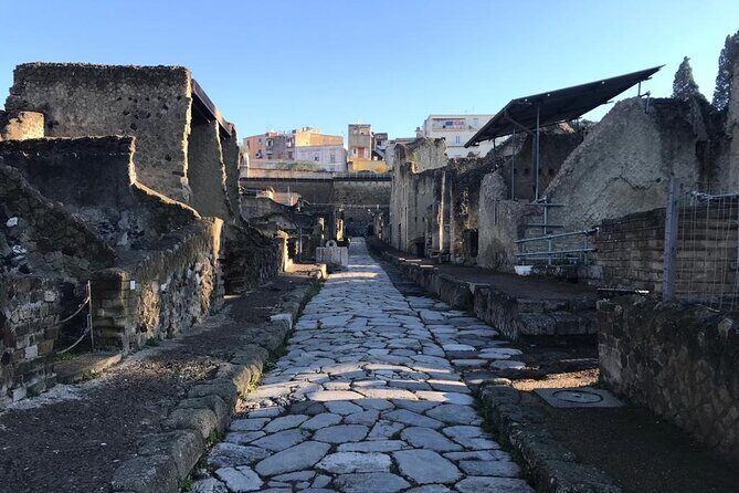Herculaneum - Small Group Tour - FAQs
