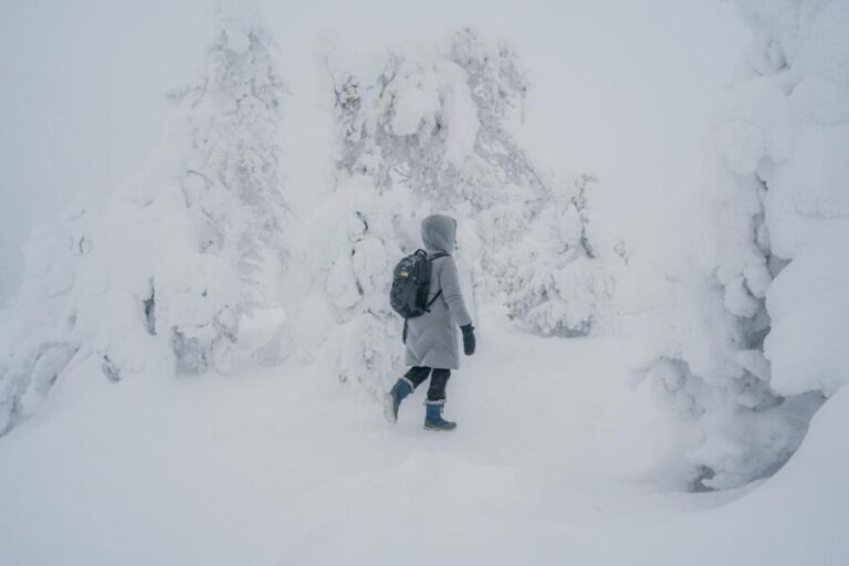 Hiking in Riisitunturi National Park with Photographer - Why This Tour Excels for Adventurers and Photo Enthusiasts