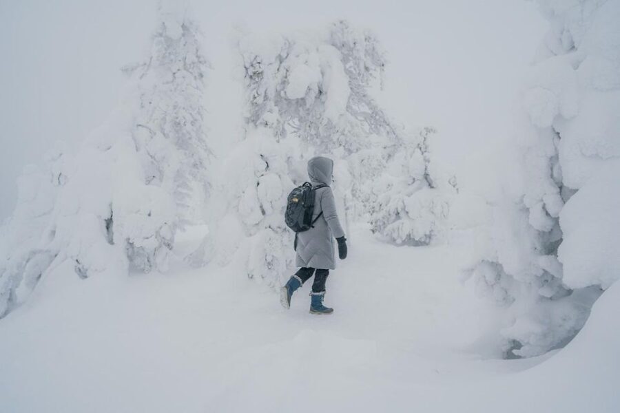 Hiking in Riisitunturi National Park with Photographer - Why This Tour Excels for Adventurers and Photo Enthusiasts