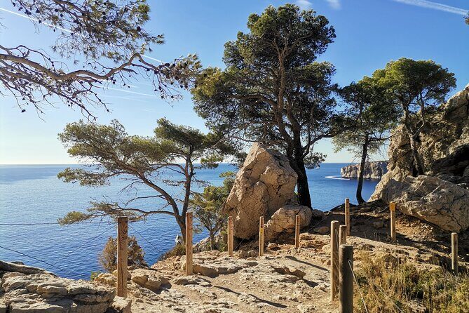 Hiking in the Calanques National park from Marseille - What to Expect on the Calanques Hike Tour